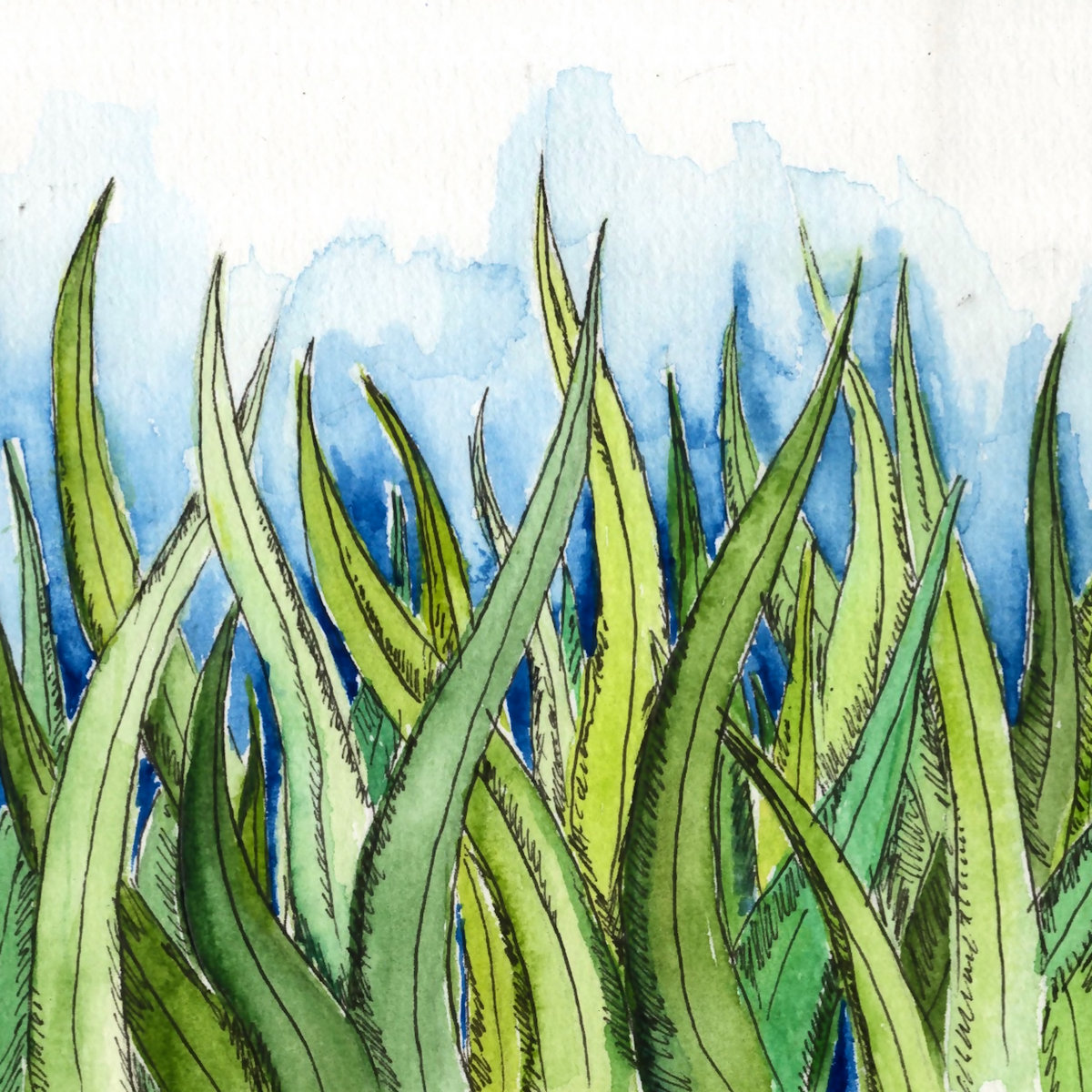 glass grass | glass grass