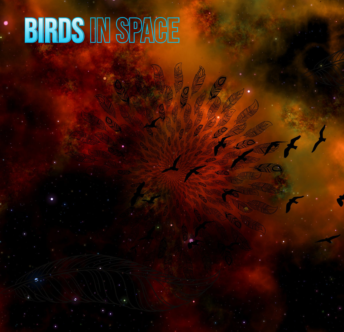 Birds In Space | Billy Yfantis