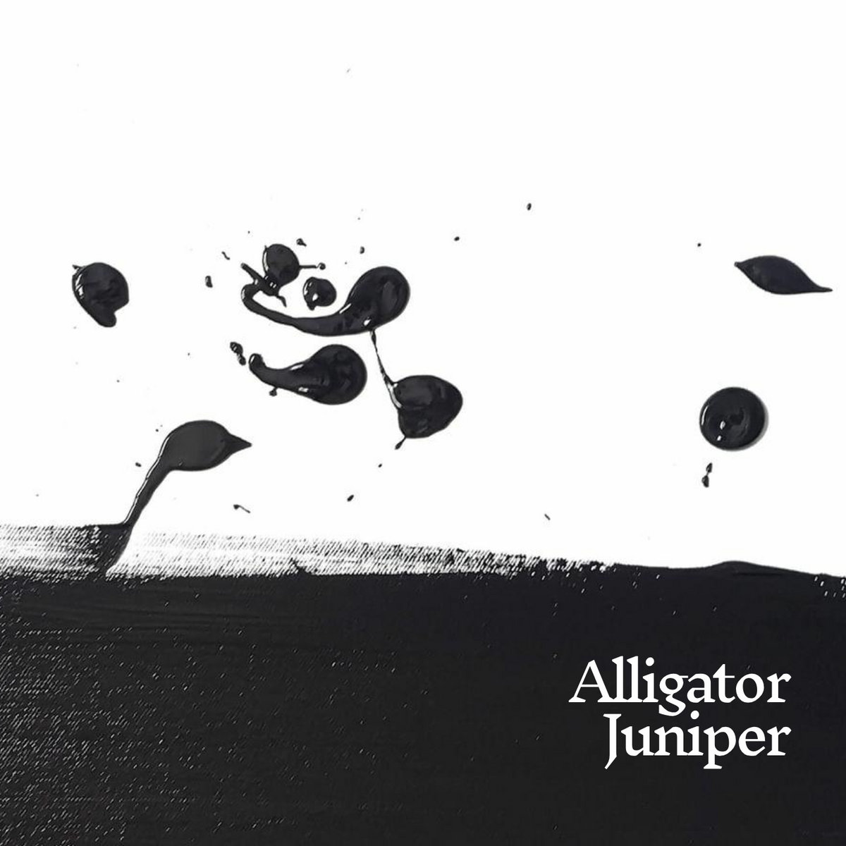 Alligator Juniper | Alligator Juniper