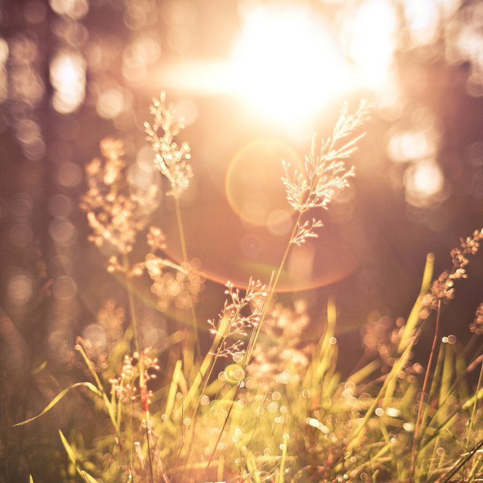 The Light | Ilian Ladov