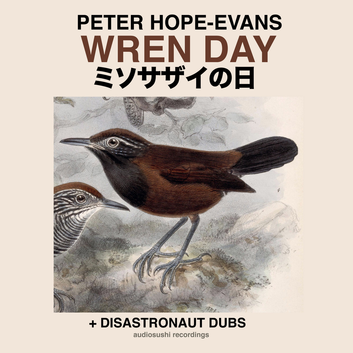 Wren Day ( Sampler ) | Peter-Hope Evans | Disastronaut