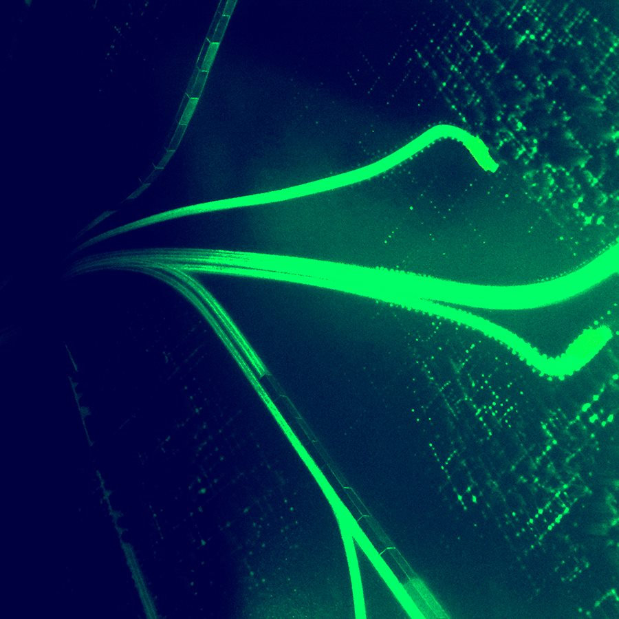 Green Ray | Hack the Planet