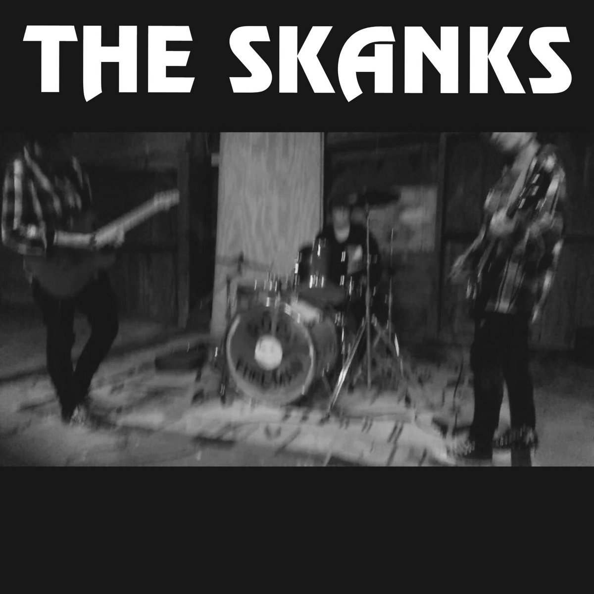 The Skanks | THE SKANKS | The Skanks