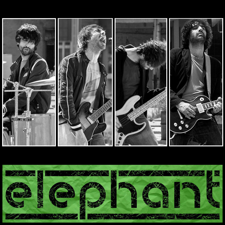elephant | elephant