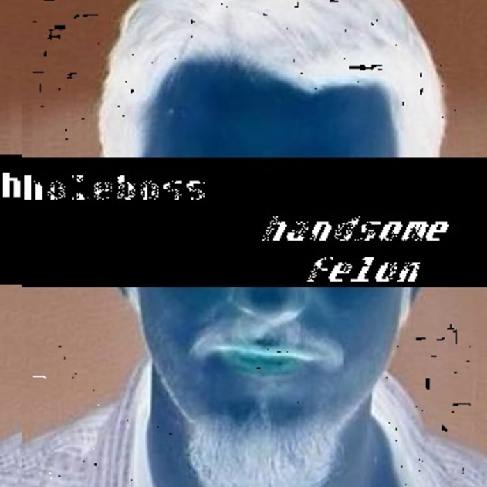 Handsome Felon | Holeboss