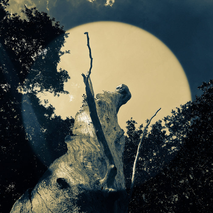 Phantom Limbs | numbtongue