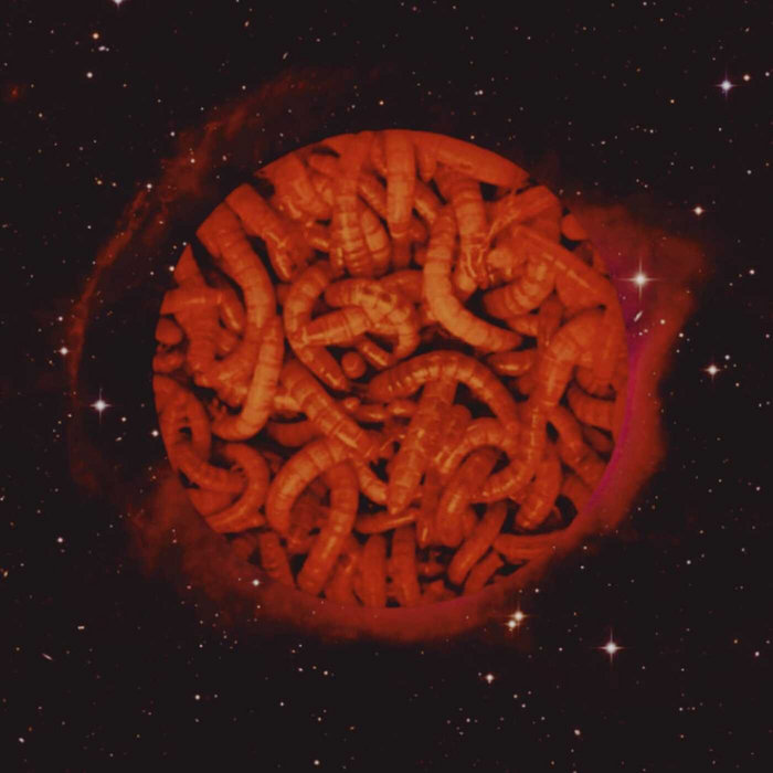 Maggot Sun | Of the Moon | Sodomites Neurodivergentes