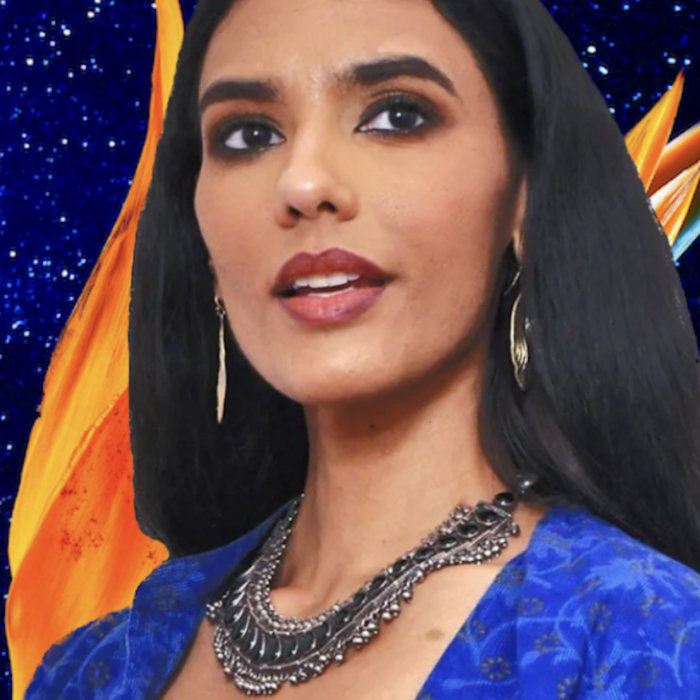 Priya Parrotta: A Complete Collection | Priya Parrotta