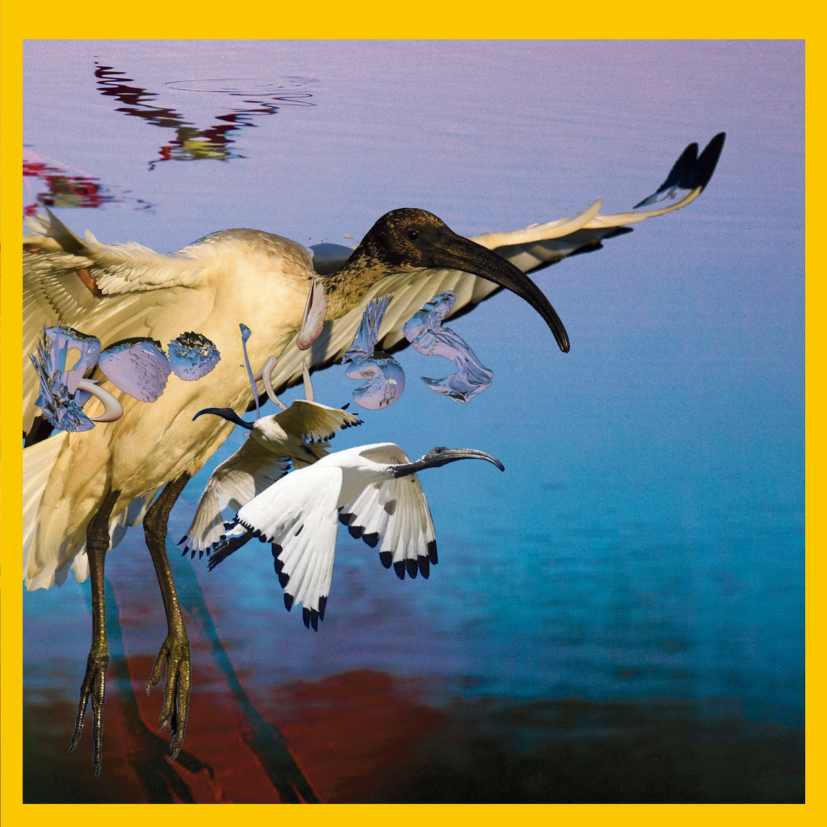 PSYCHE BIRDS (Original Motion Picture Soundtrack) | BOO HISS ...