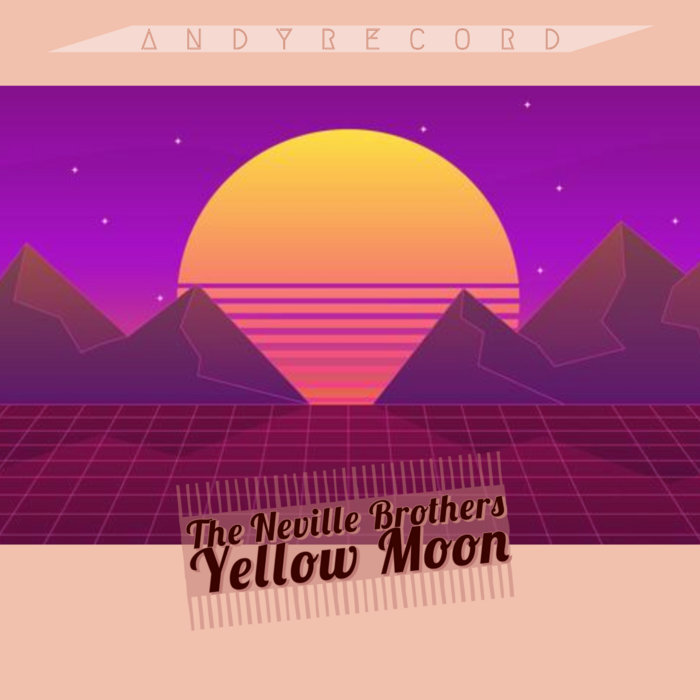 The Neville Brothers - Yellow Moon Edit | ANDYRECORD | Dj ANDY P.