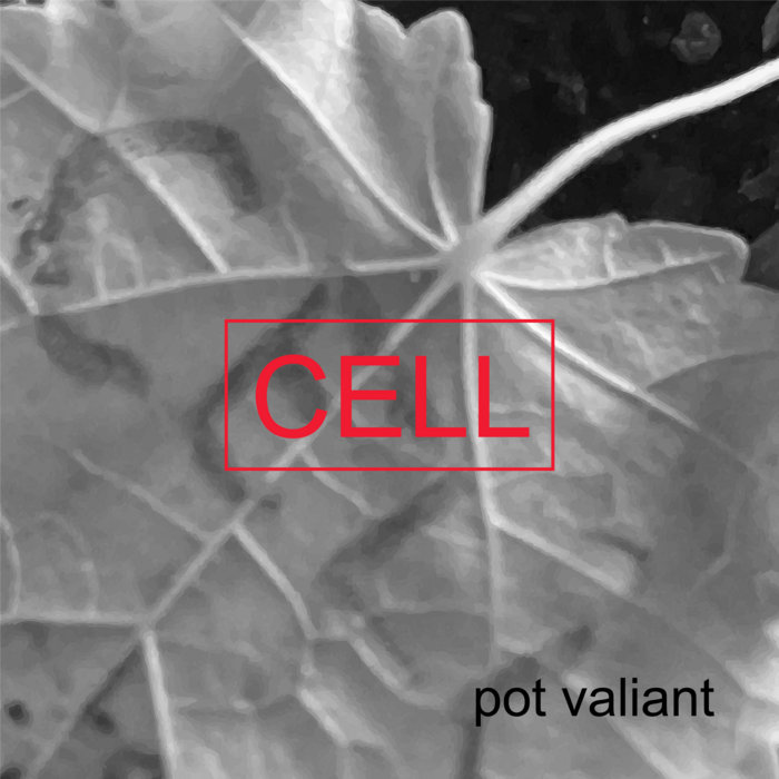 Cell | Pot Valiant