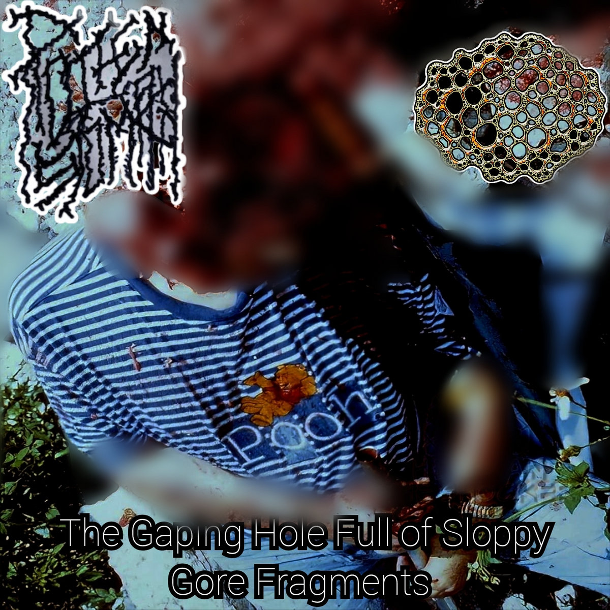 The Gaping Hole Full of Sloppy Gore Fragments | DxBxAxIxRxHxFx / Rotten ...