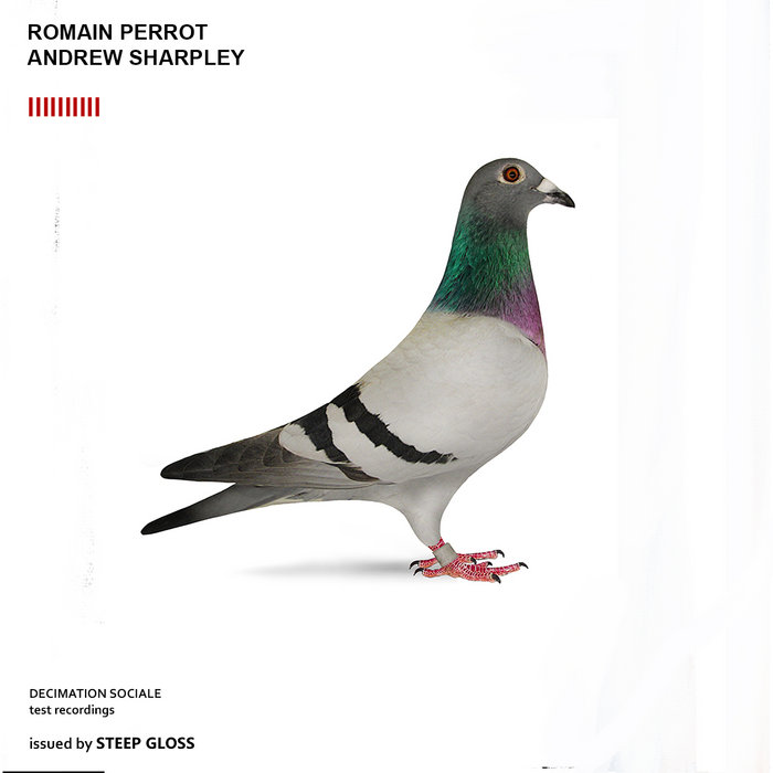 IIIIIIIIII | Romain Perrot & Andrew Sharpley | Steep Gloss