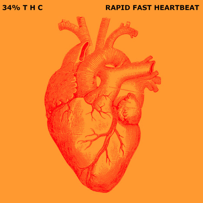 RAPID FAST HEARTBEAT - LP | 34% T H C