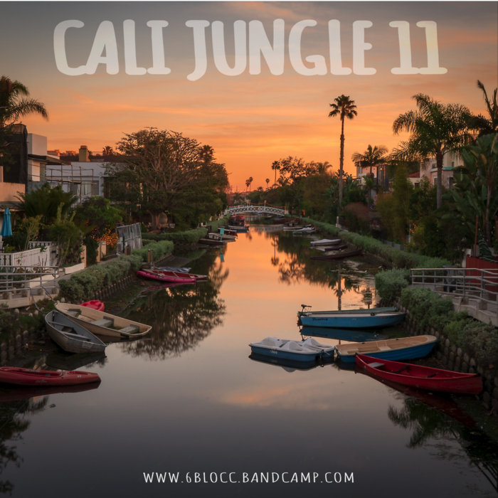 Cali Jungle 11🌴 | 6Blocc