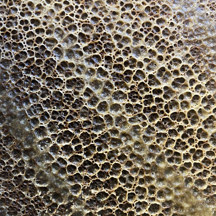 Wolfbot Jax Broadcast Date Pandemic Postpartum Expression | Gander'spatch