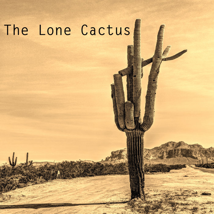 Lone Cactus In The Desert