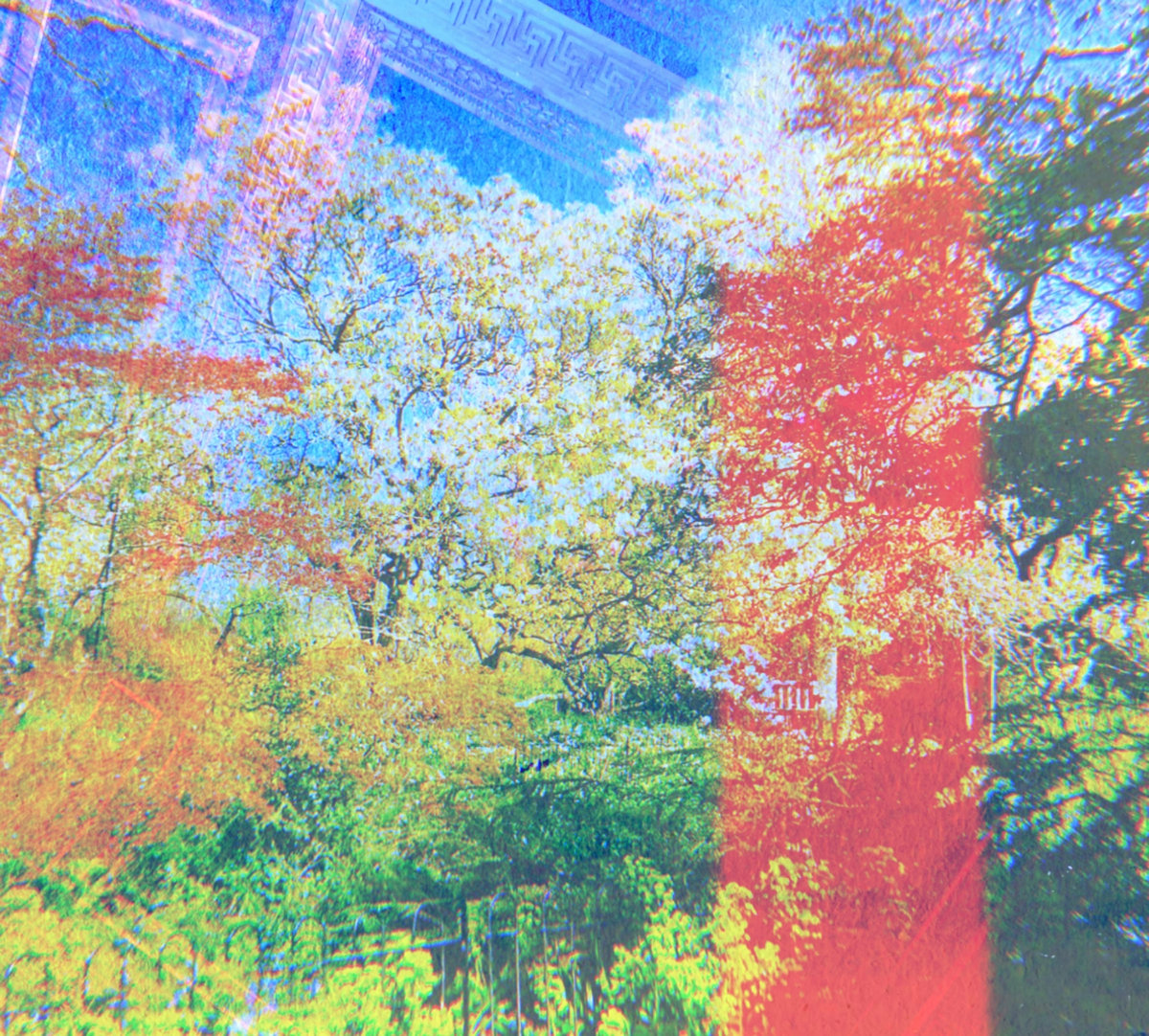 in dreams | owen derrick