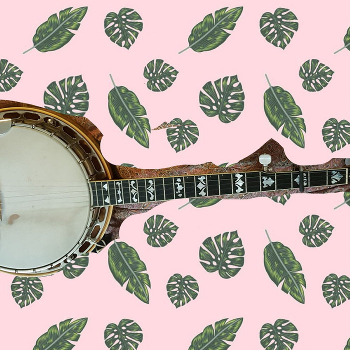 ClawHamma DUB | Banjo Spaceship