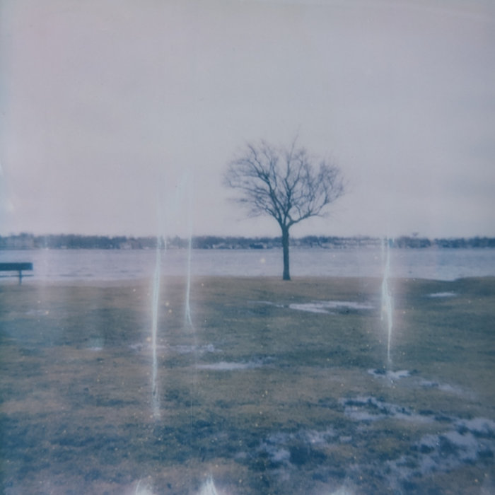 Window To Wauconda | Zbyszko Cracker | Cattail Militia