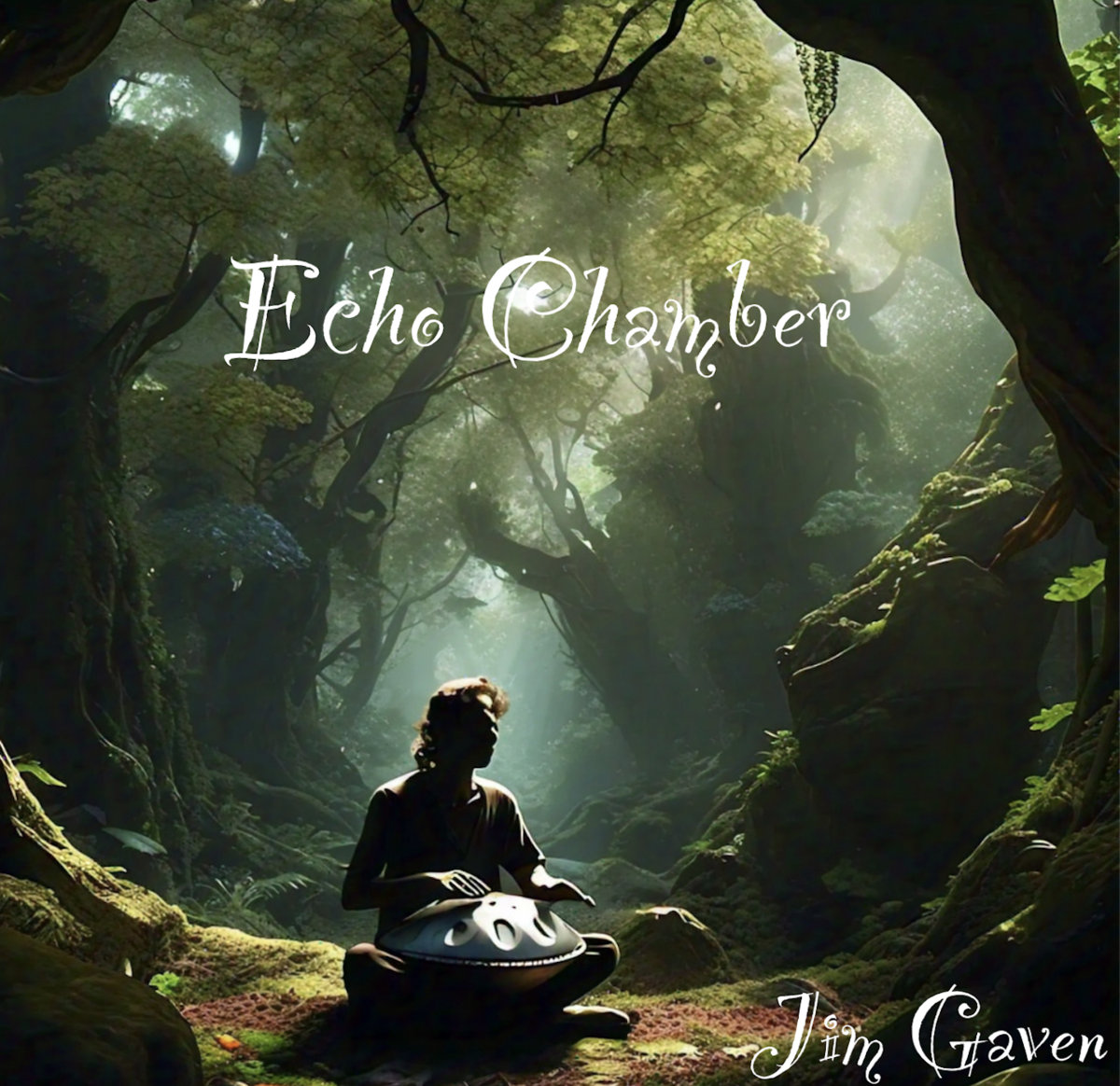 Echo Chamber | Jim Gaven