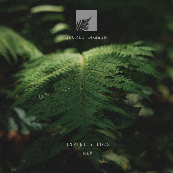 Infinity Dots - ELV | Infinity Dots | secret domain