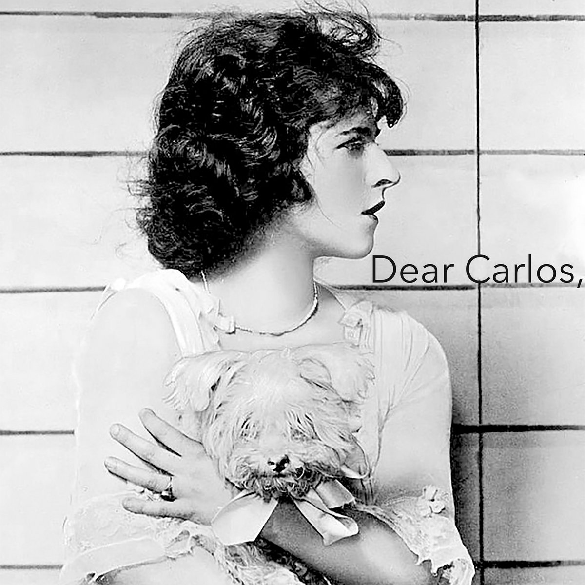 Dear Carlos, | Amb. Parsley