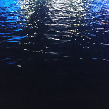 Music | Wisp X