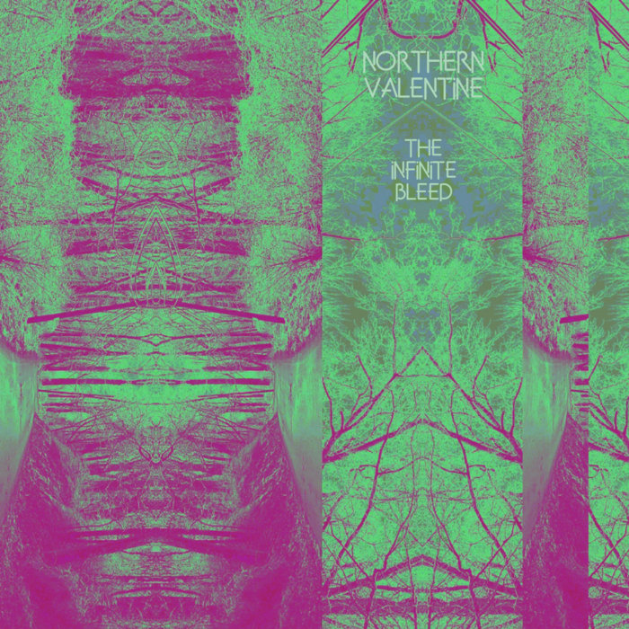 The Infinite Bleed | Northern Valentine