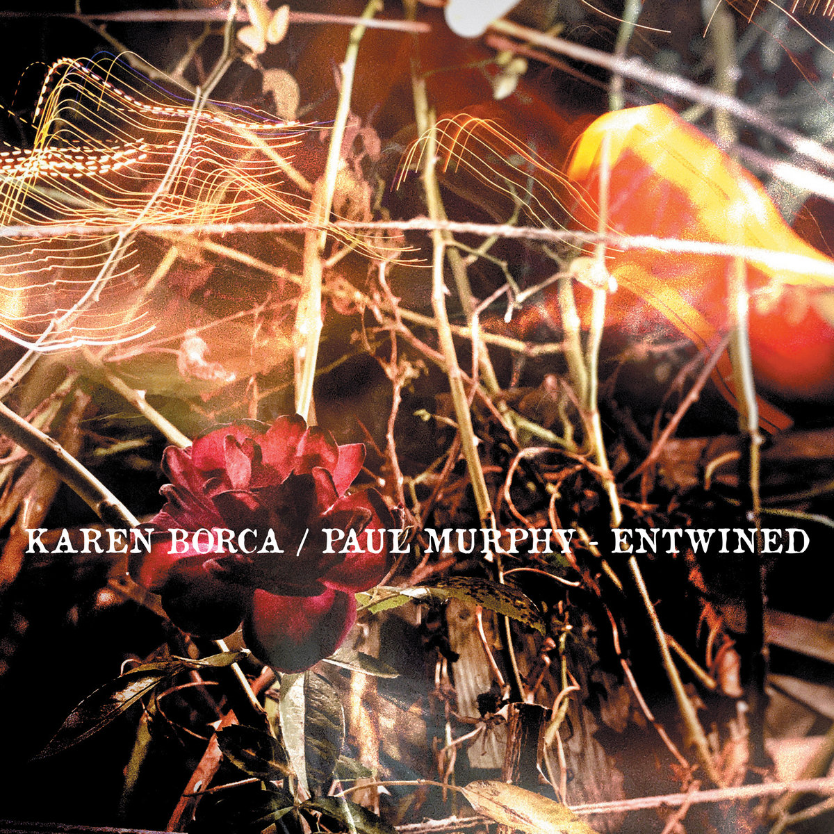 Entwined | Karen Borca, Paul Murphy | Relative Pitch Records