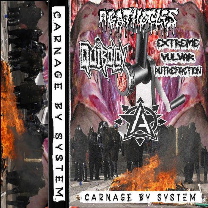 EXTREME VULVAR PUTREFACTION / QUIBOLOY / AGATHOCLES - Carnage By System 3 WAY SPLIT (2024 ...