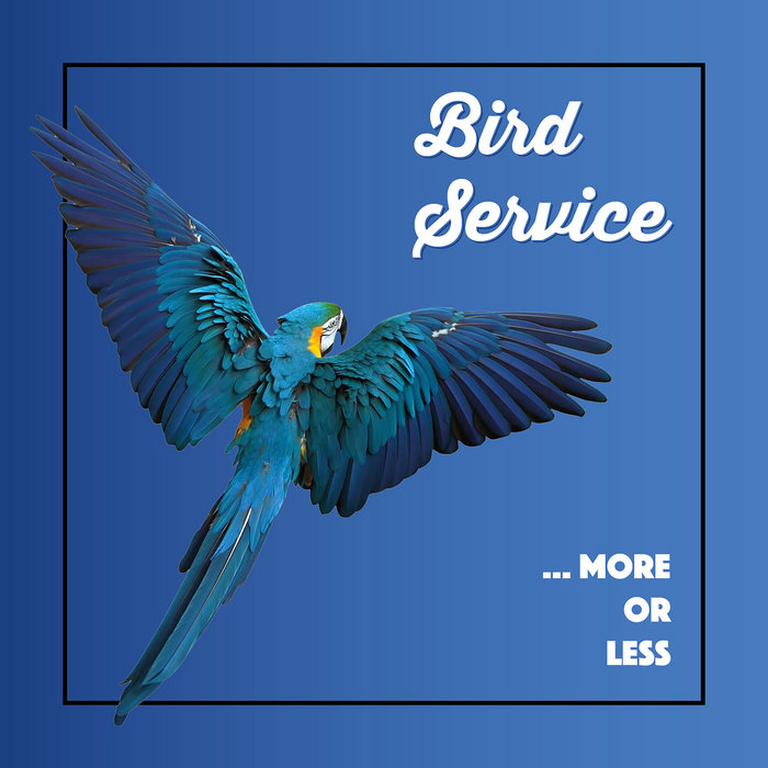 More or Less | Bird Service