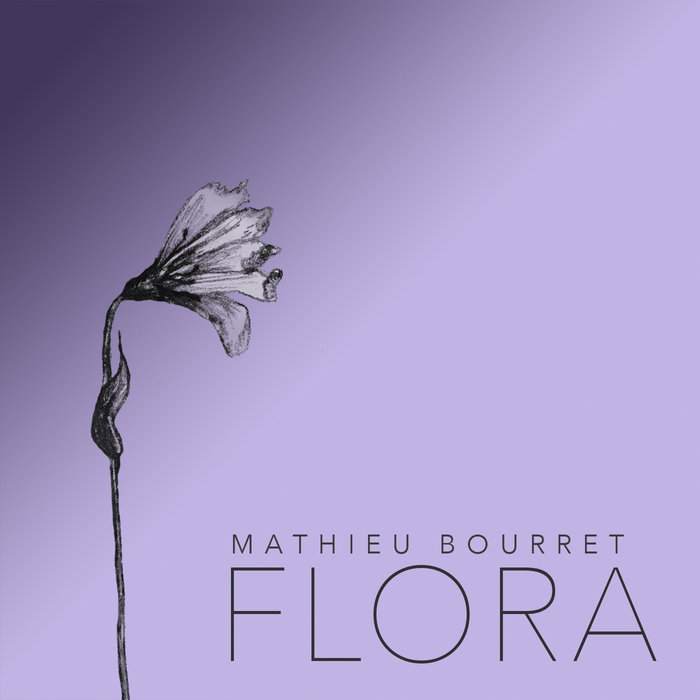 Chrysalide | Mathieu Bourret