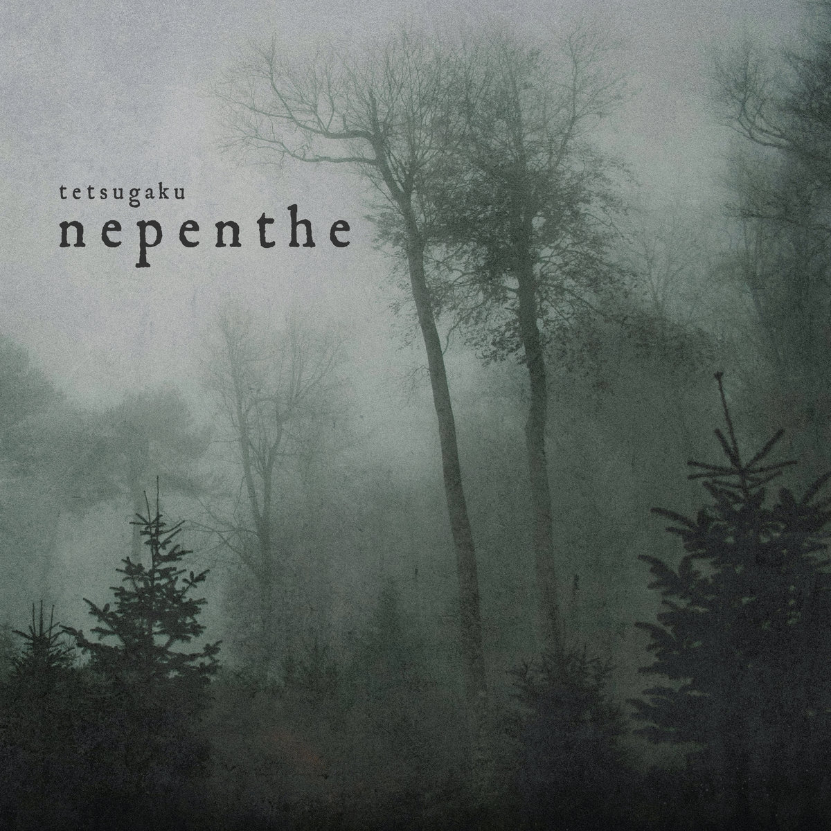 Nepenthe EP | Tetsugaku