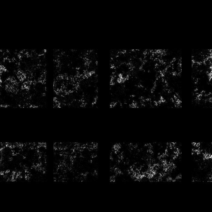 Guitar Recordings | Steve Touchton | Steve Touchton (Stephen Touchton)