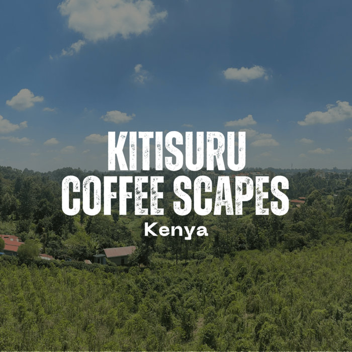 Kitisuru Coffee Scapes | Aural Wonders