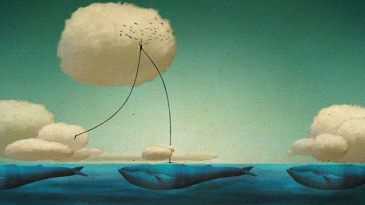 Mr. Long Legs | FORTUNA Quest by Edu Sánchez-Seco