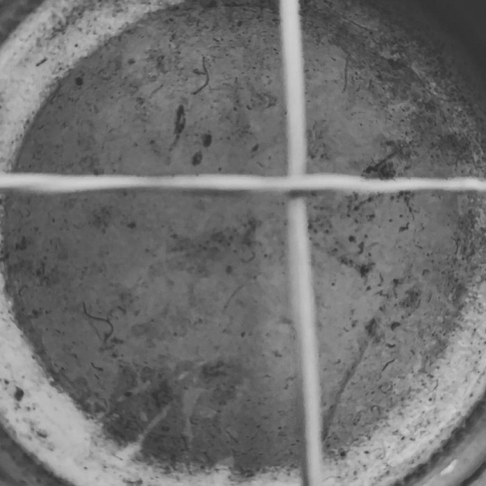 String Test (Original Mix) | Dope Art