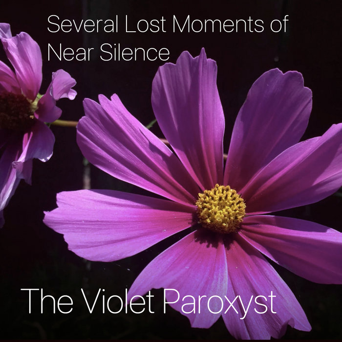 Tenebrous Light Careens | The Violet Paroxyst