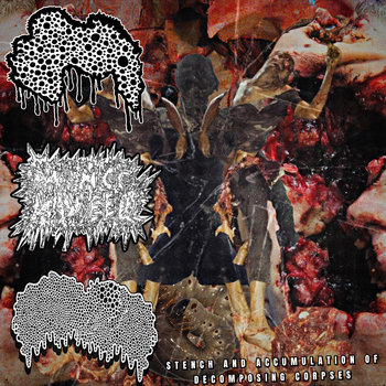 Stench and Accumulation of Decomposing Corpses | XYLAZINE PROPHILACTIC ...