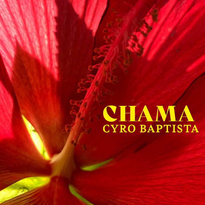 Chama | Cyro Baptista