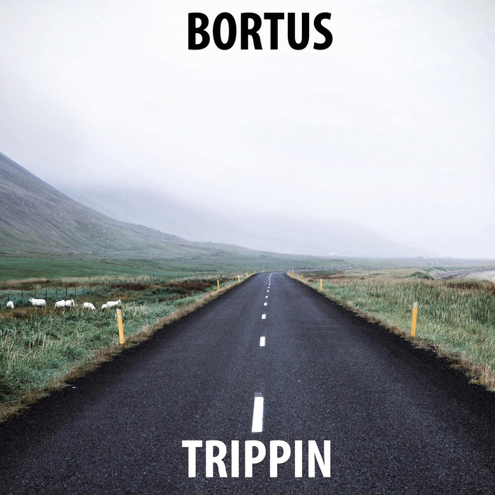 Trippin | Bortus