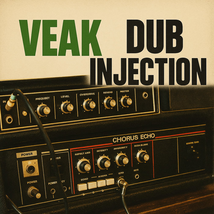 Veak - Dub Injection | Veak Music