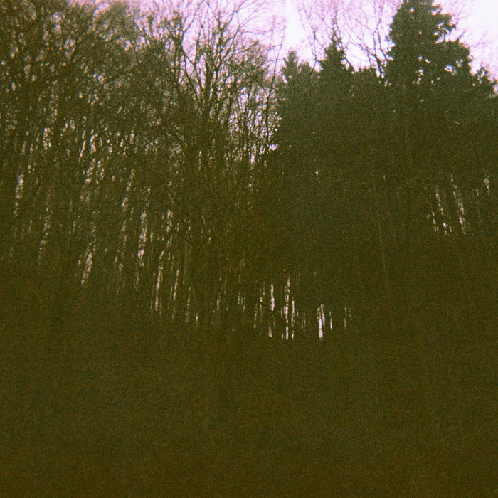 Elm | Land Systems