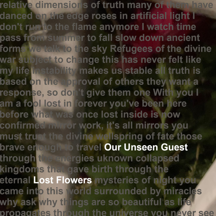 Lost Flowers | Our Unseen Guest