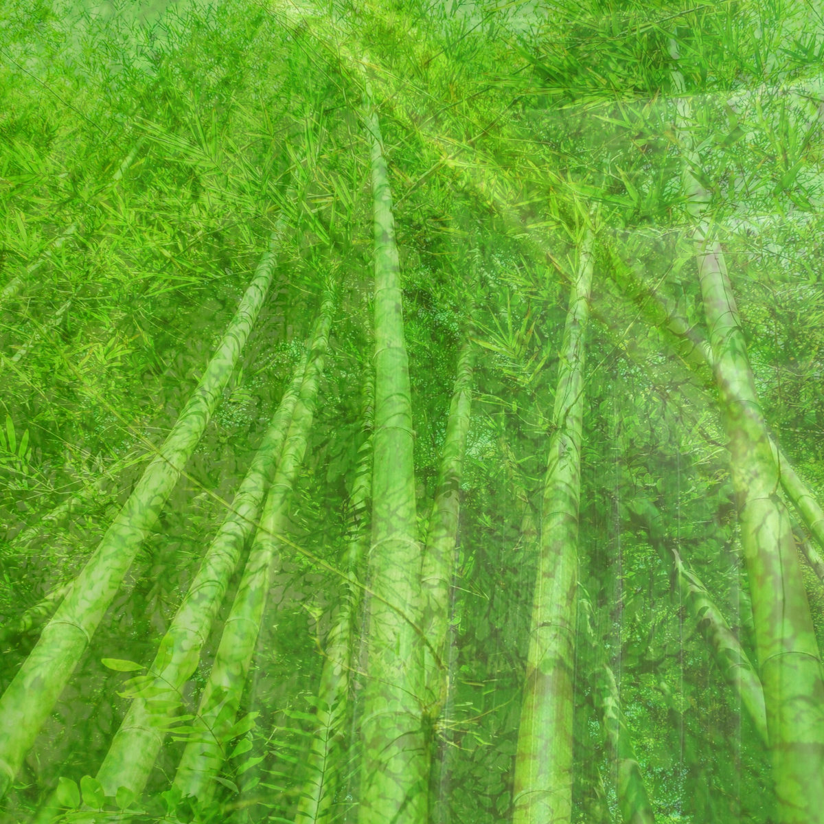 Field of Reeds | Osiris | Aaru Gate