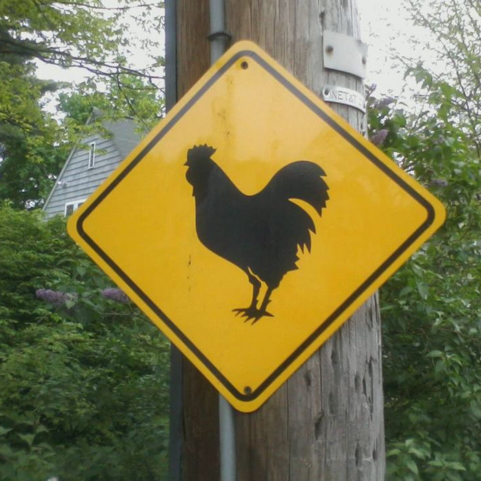 Chicken Crossing | Chicken Crossing | Tabletop Electric