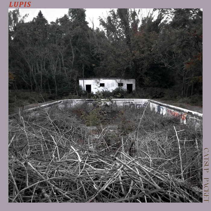 Catsup Packet | Sipul