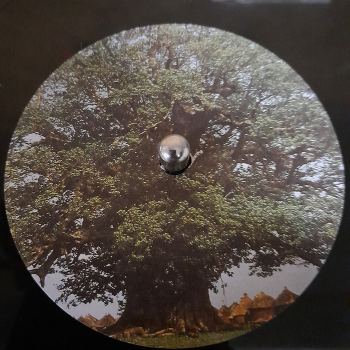 King Alpha - Tree Of Life | king alpha | rootsman3000