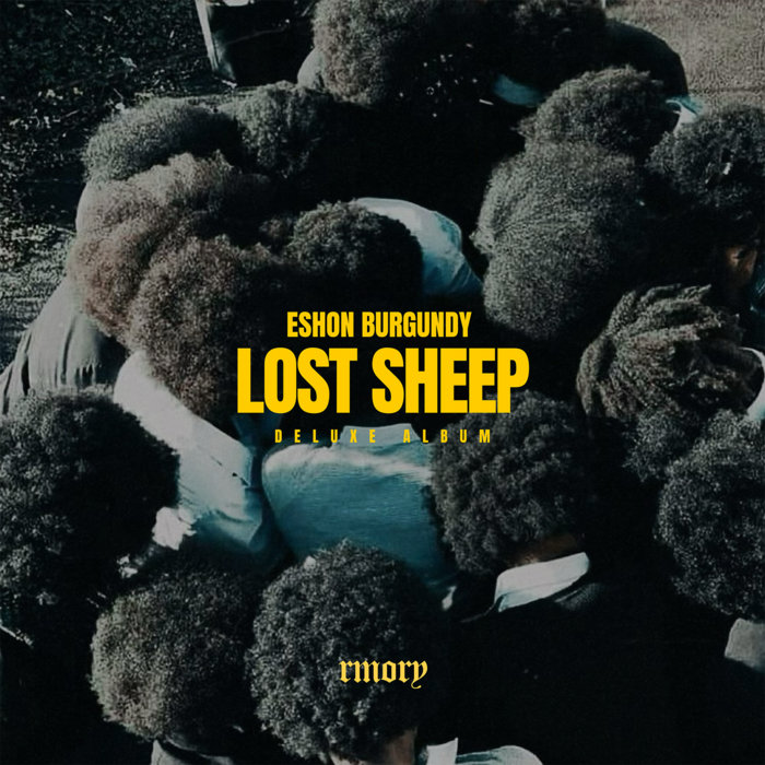 Lost Sheep Deluxe Album | eshon burgundy